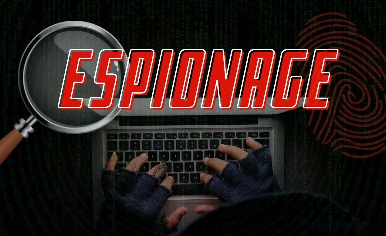 18 Fun Group Activities in Boston, MA